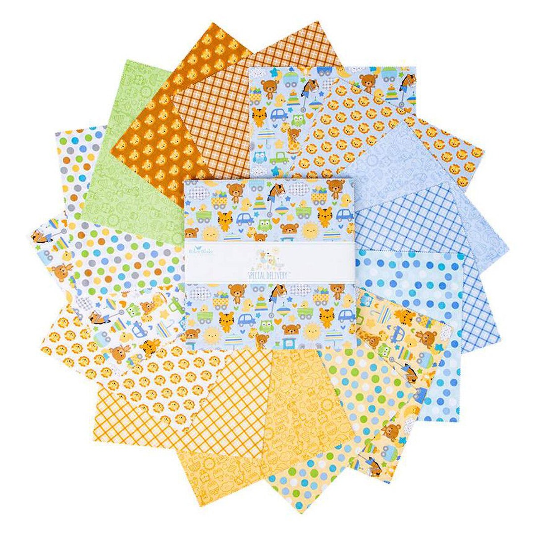 Baby Boy Quilt Fabric Bundle: Special Delivery Riley Blake 10