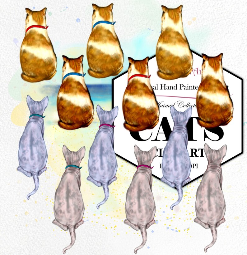 Cat Clipart . Custom Cat Add-on Clip Art Bundle. Different Cat - Etsy