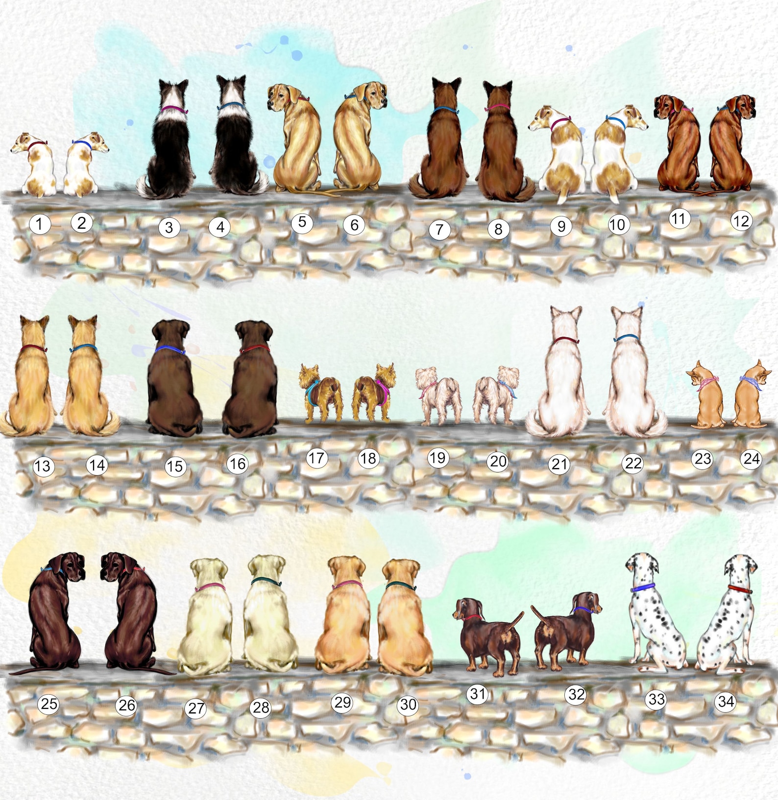Dog Clip Art Pack. 34 Dogs. Various Dog Breeds. Hand Painted - Etsy