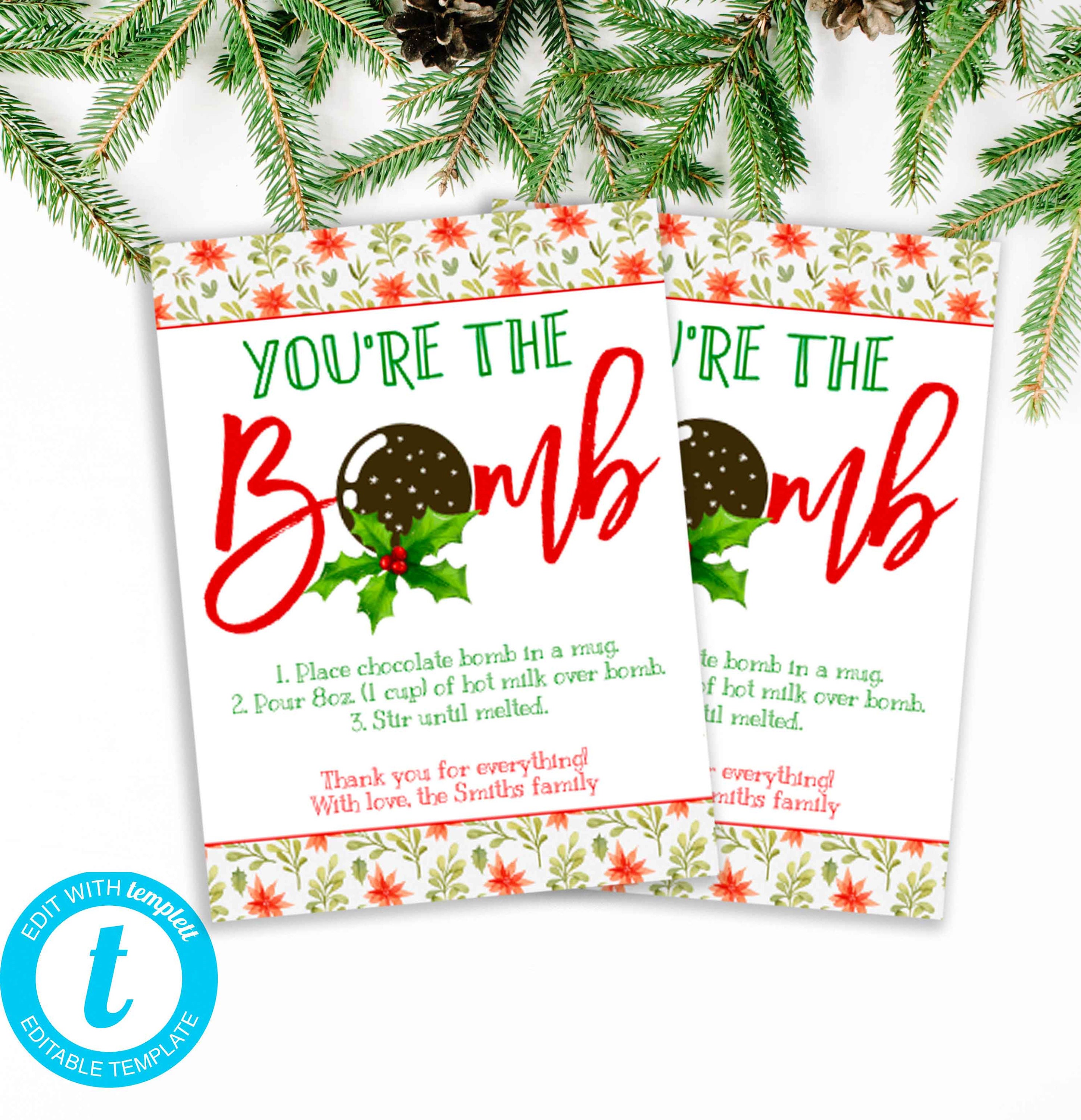 You're The Bomb tag Christmas Hot Chocolate Bomb Gift Tags | Etsy