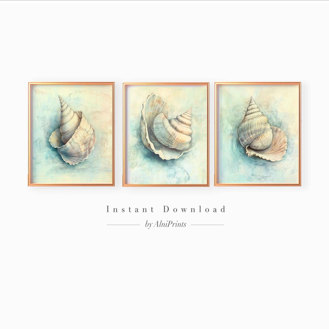 Antique Seashell Painting, Vintage Seashell Watercolor Art, Trendy ...