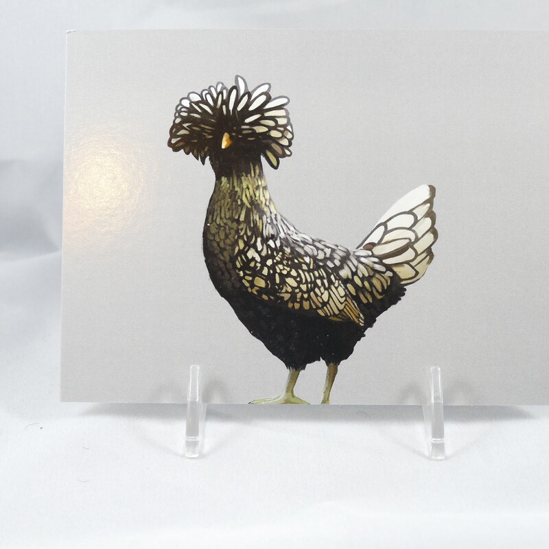 Polish Chicken - Etsy