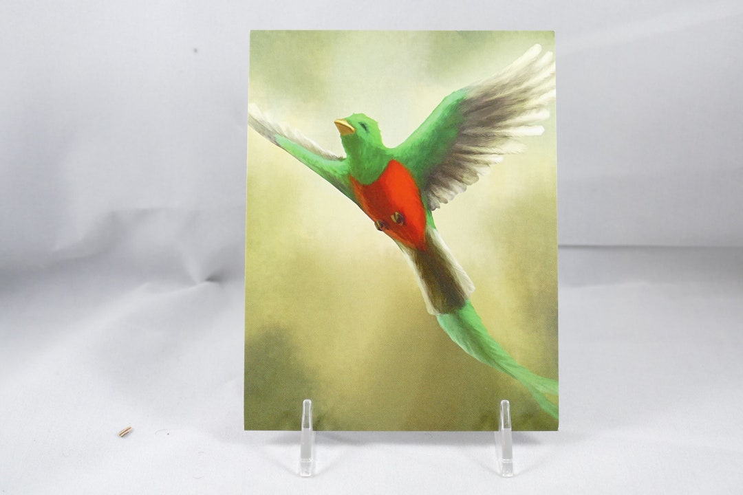 Resplendent Quetzal Postcard 130lb Card Stock - Etsy