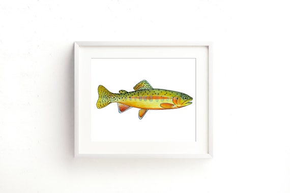 Golden Trout Fine Art Print | Etsy