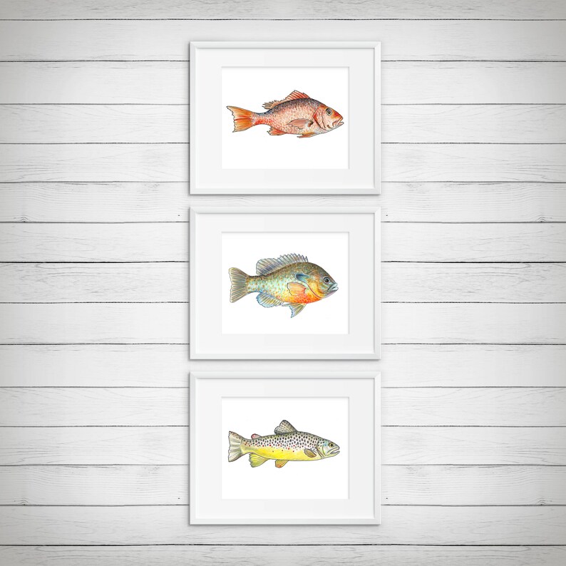 Redbreast Sunfish Watercolor Fine Art Print - Etsy