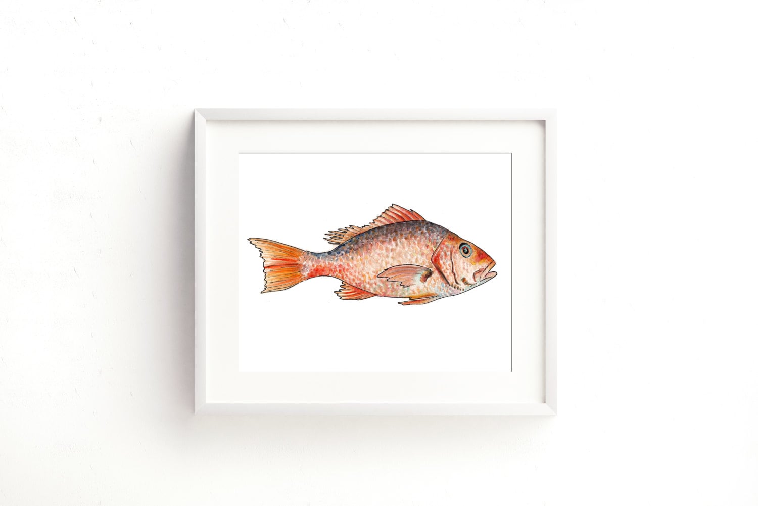 Red Snapper Watercolor Fine Art Print - Etsy