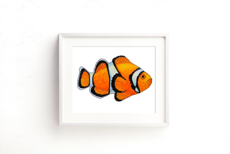 Clown Fish Watercolor Fine Art Print - Etsy