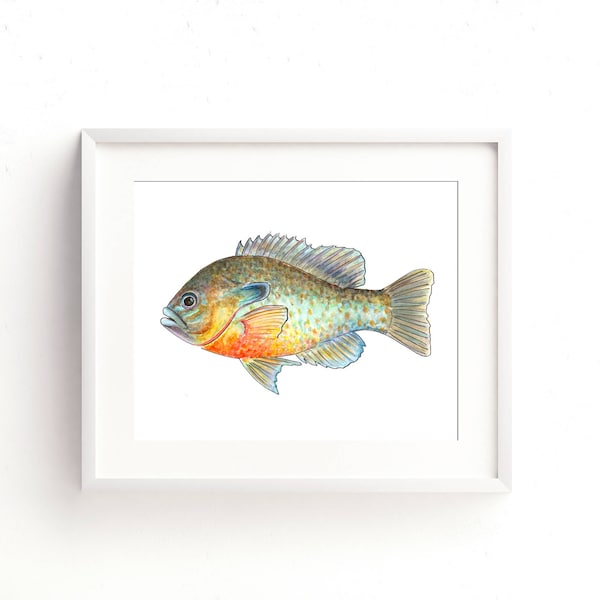 Sunfish Painting - Etsy