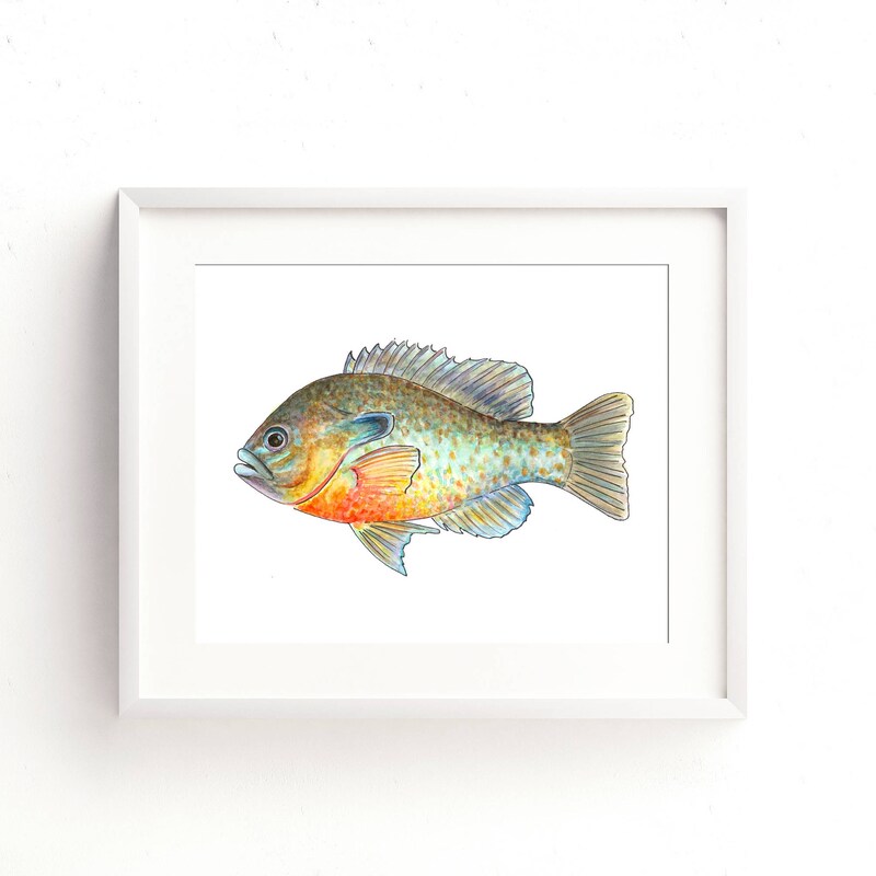 Sunfish Painting - Etsy
