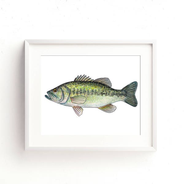 Bass Watercolor - Etsy