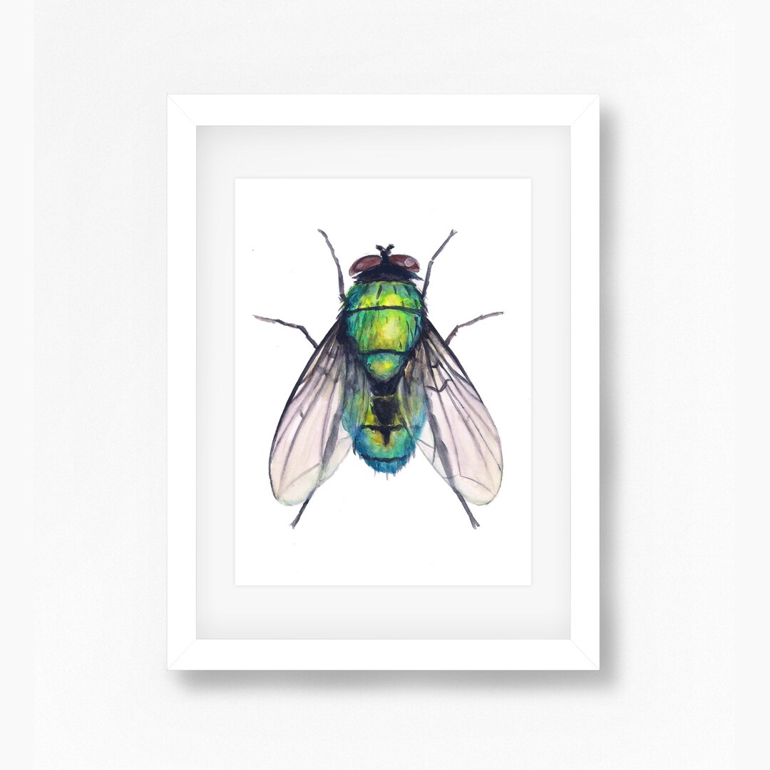 Green Bottle Fly Watercolor - Etsy