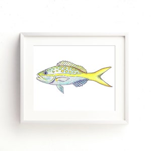 Yellowtail Snapper Watercolor Fine Art Print - Etsy
