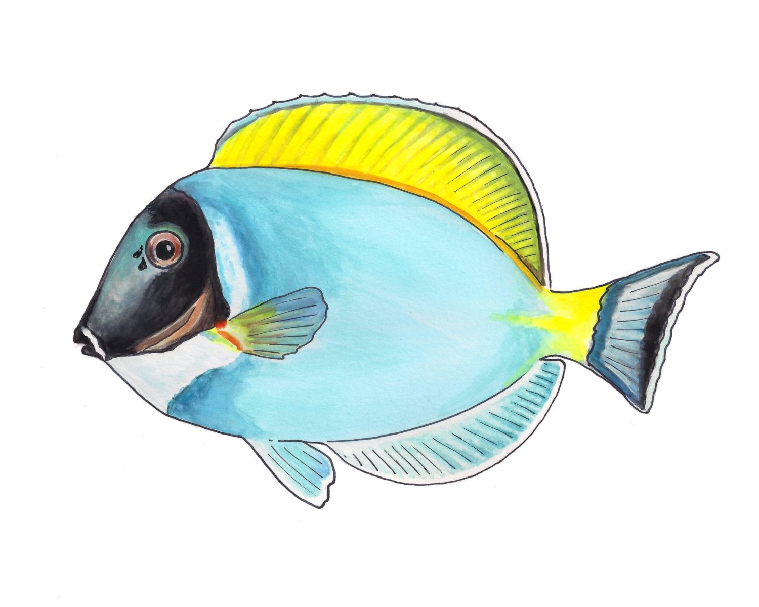 Powder Blue Tang Watercolor Fine Art Print - Etsy