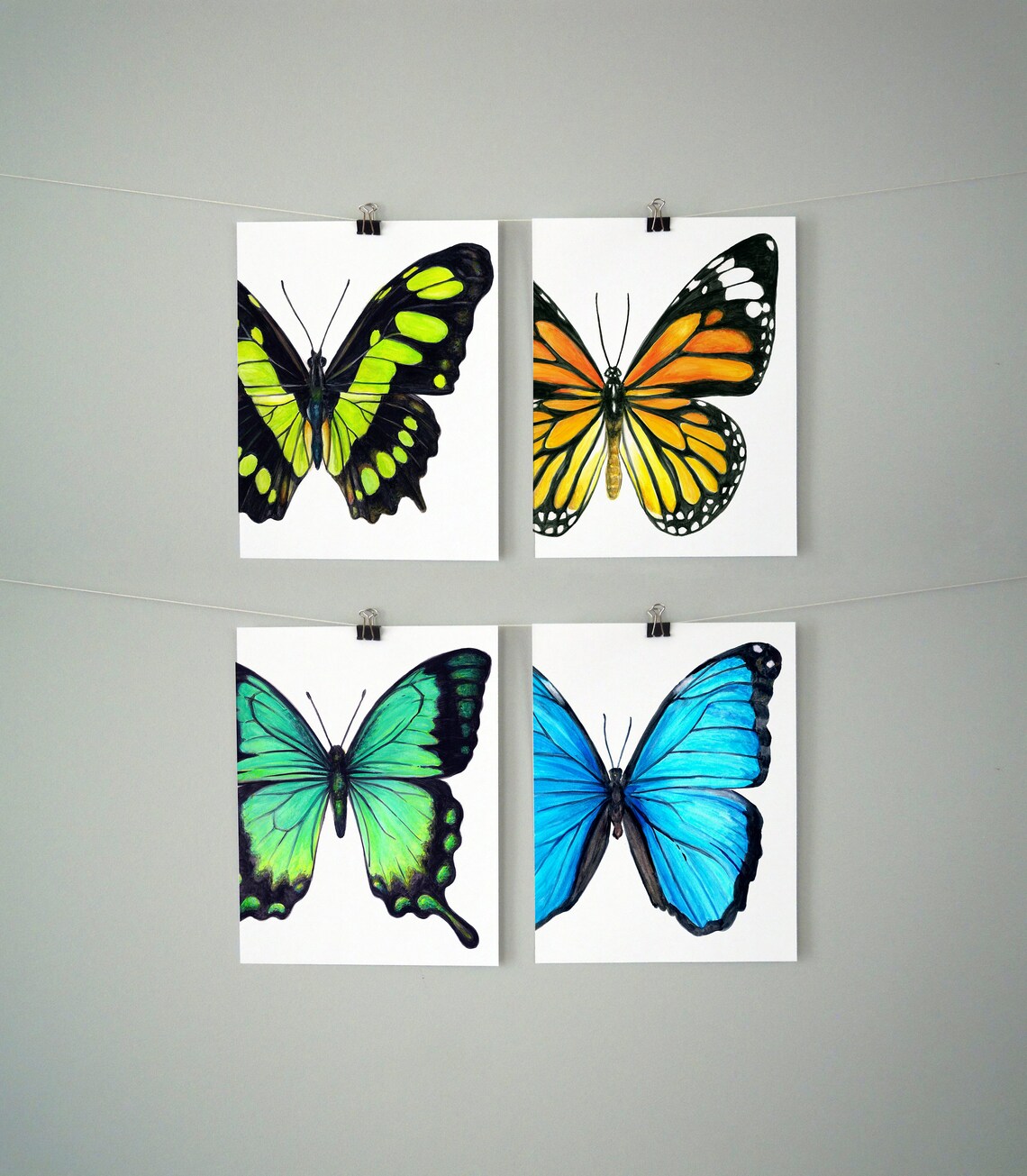 Assorted Butterfly Blank Greeting Cards | Etsy