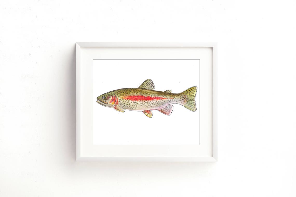 Leopard Rainbow Trout Watercolor Fine Art Print - Etsy