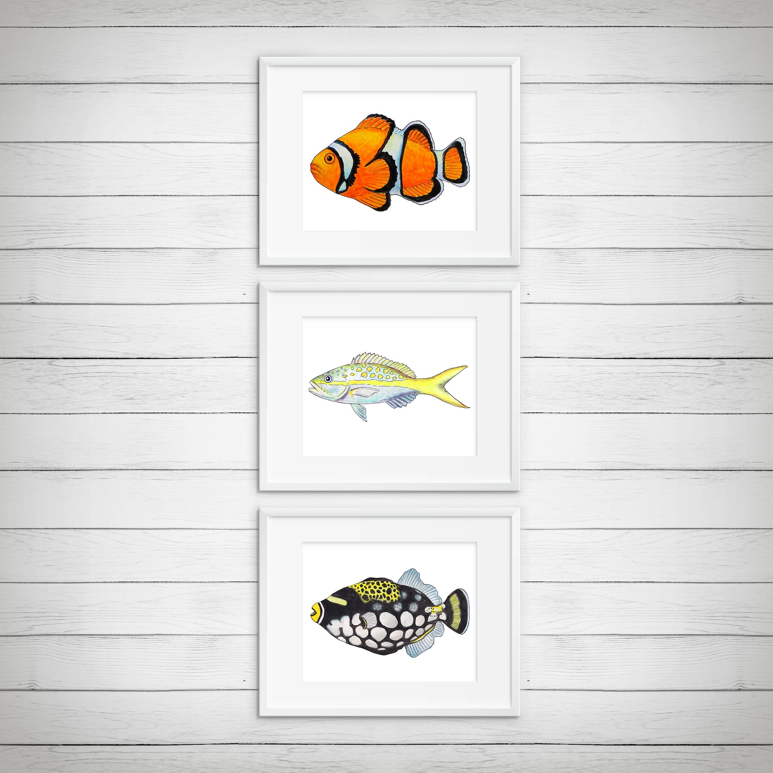 Yellowtail Snapper Watercolor Fine Art Print - Etsy