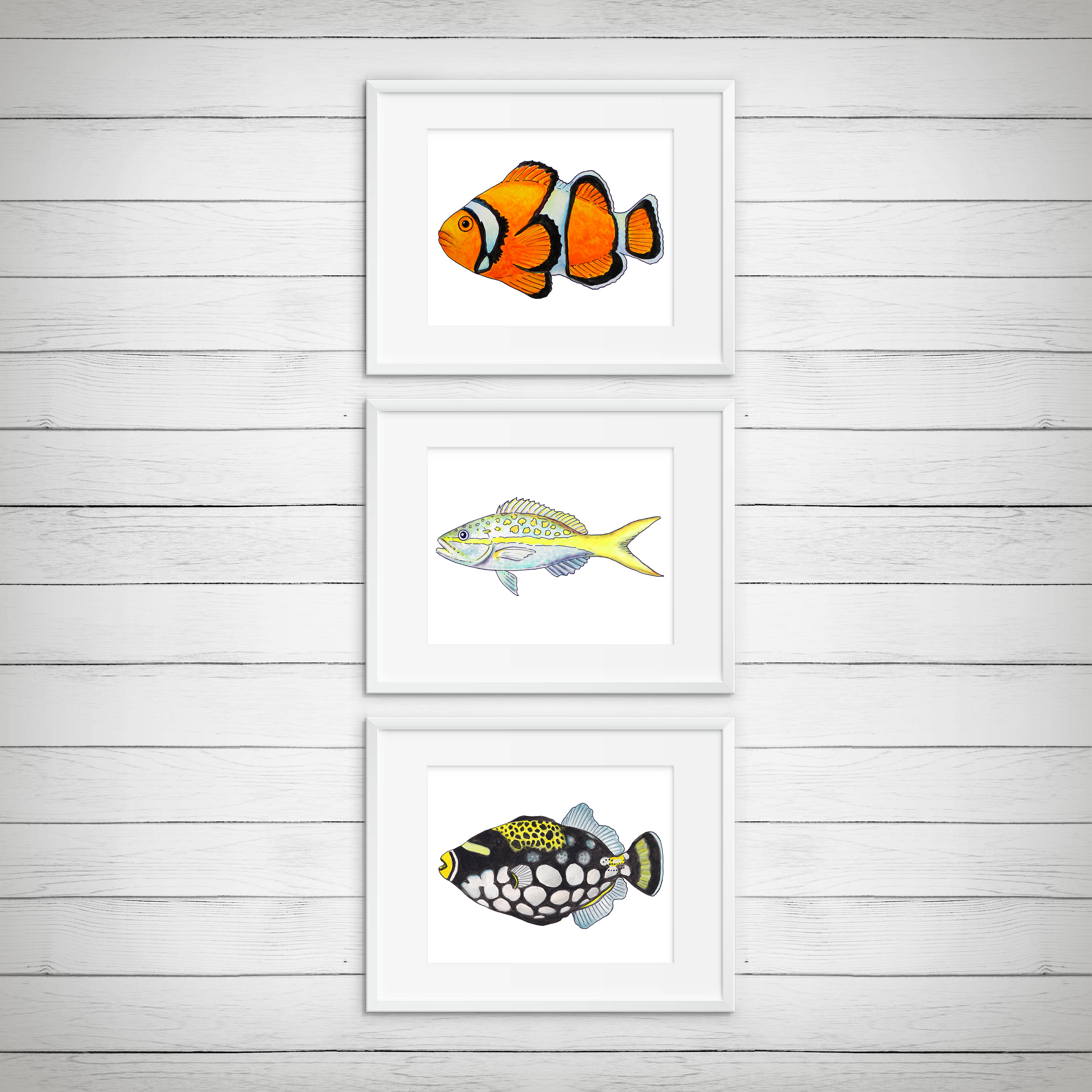 Yellowtail Snapper Watercolor Fine Art Print - Etsy