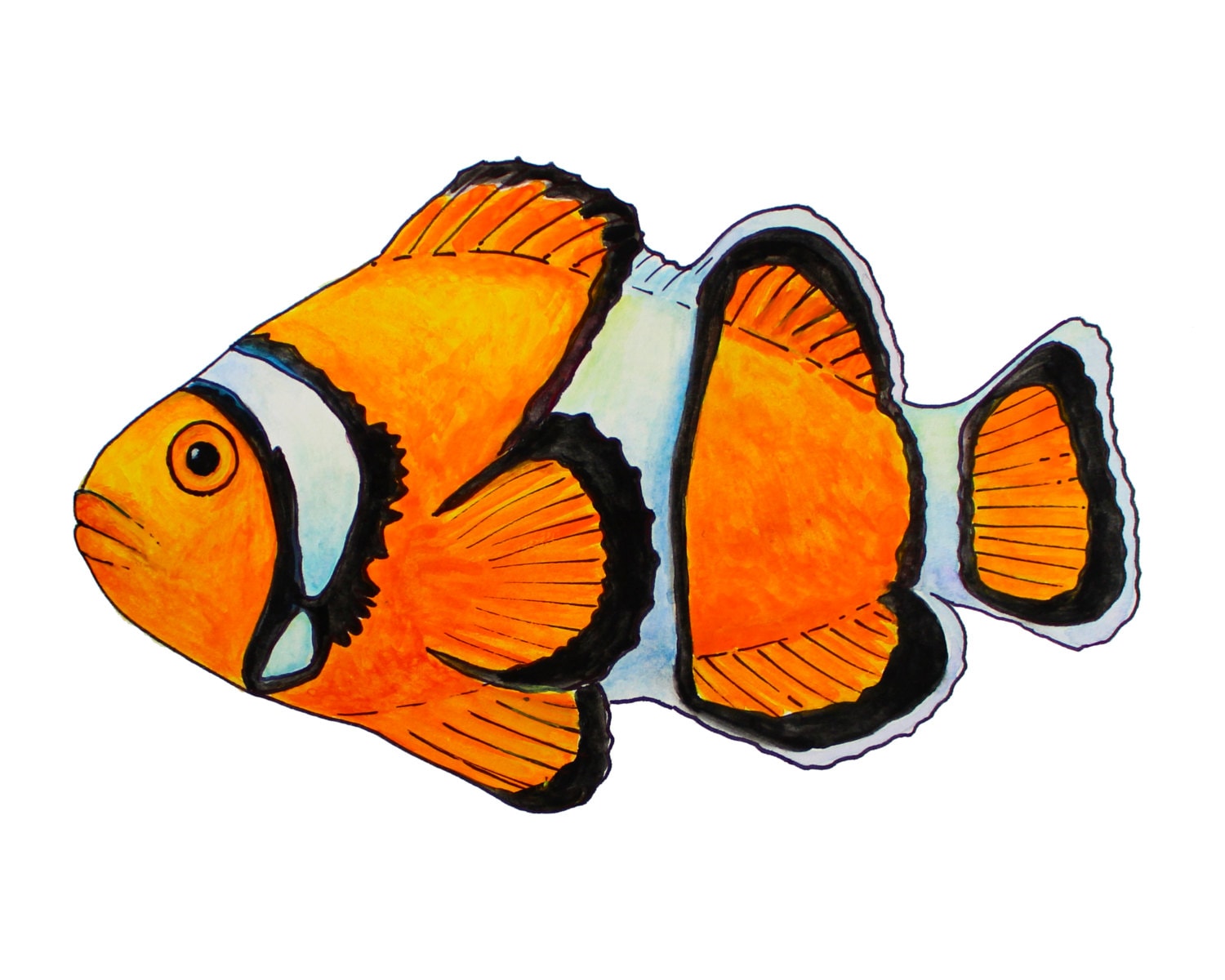 Clown Fish Watercolor Fine Art Print - Etsy