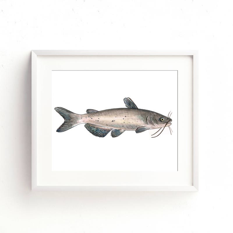 Catfish Art - Etsy