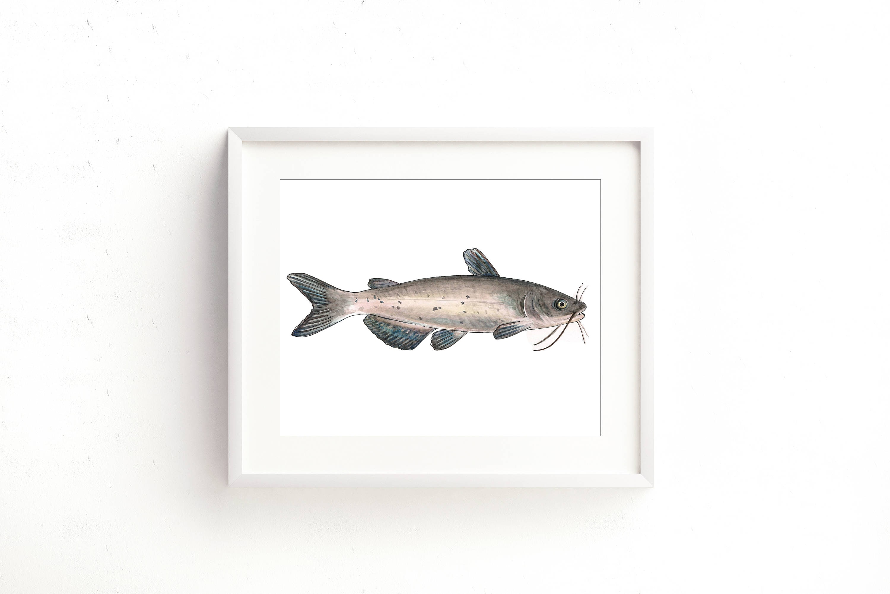 Channel Catfish Watercolor Fine Art Print - Etsy