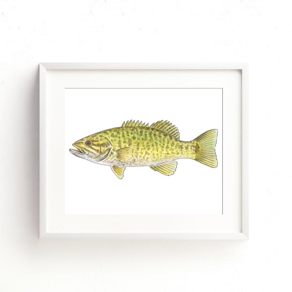 Bass Watercolor - Etsy