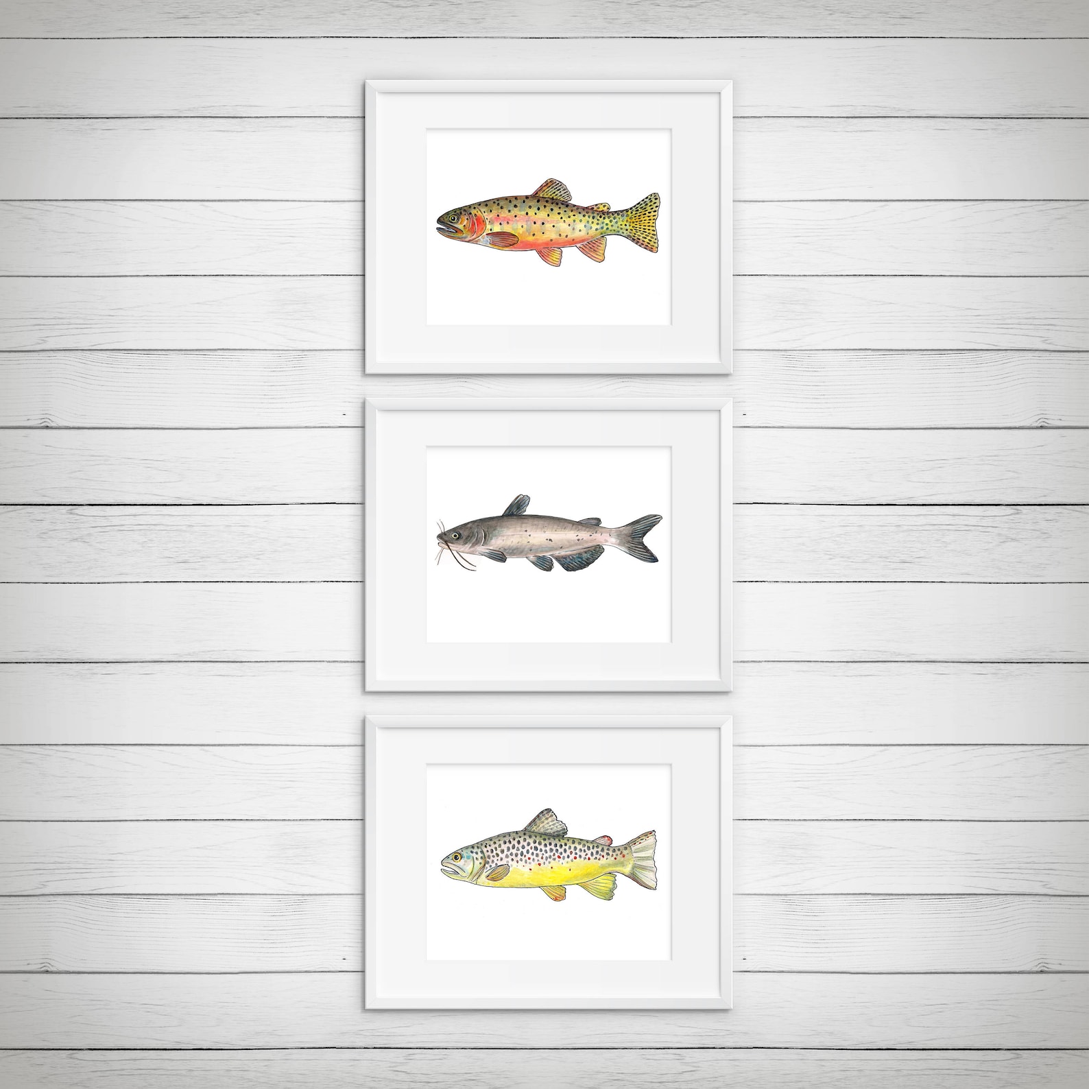 Channel Catfish Watercolor Fine Art Print | Etsy