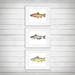 Channel Catfish Watercolor Fine Art Print - Etsy