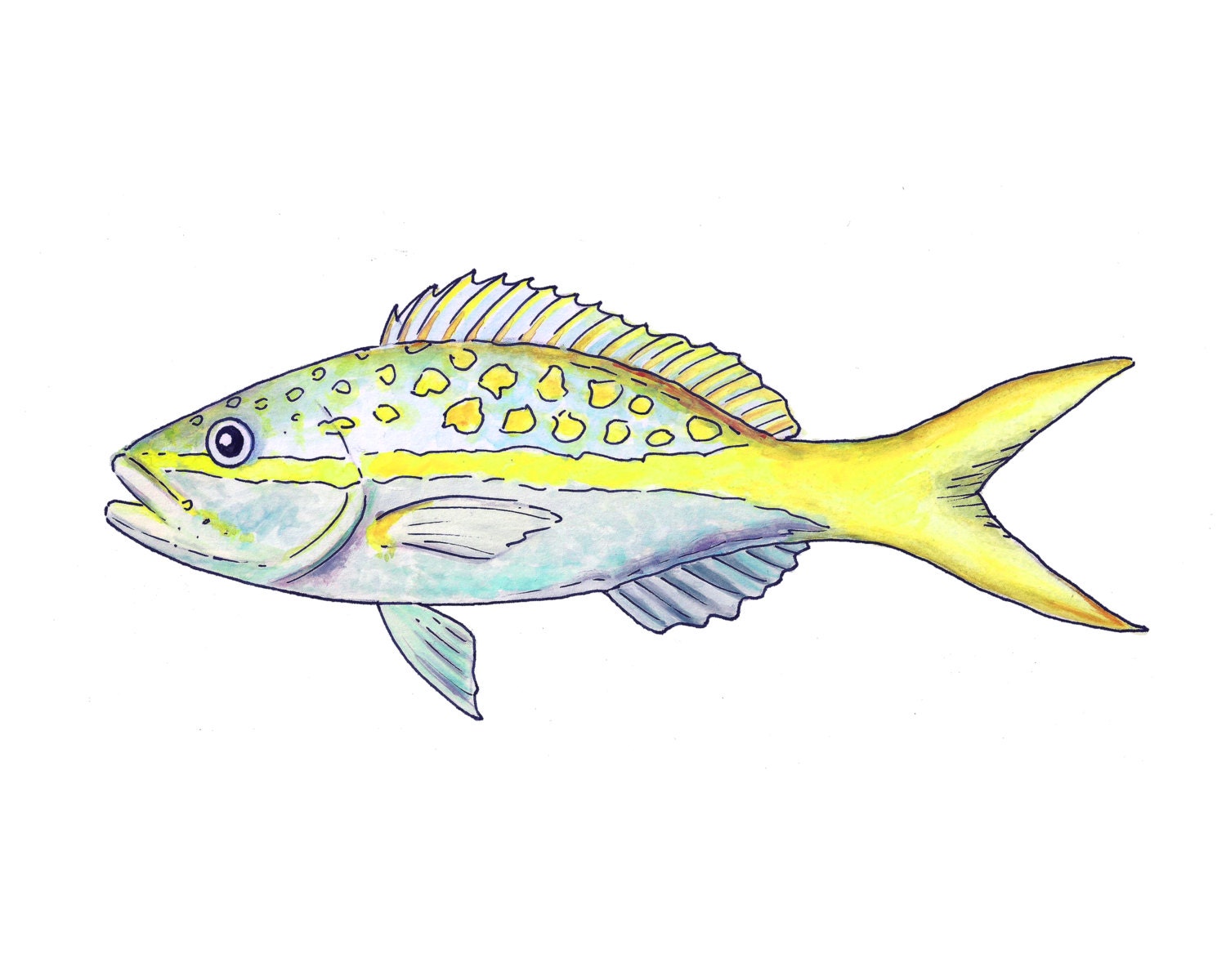 Yellowtail Snapper Watercolor Fine Art Print - Etsy