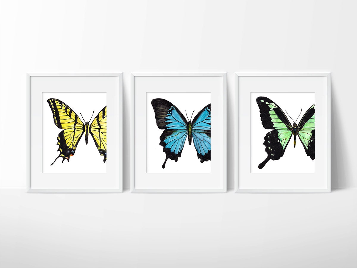 Eastern Tiger Swallowtail Butterfly Watercolor Fine Art Print - Etsy