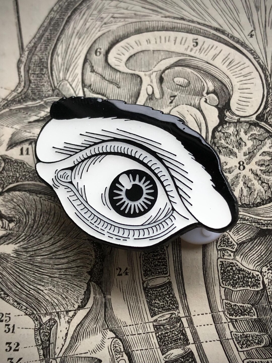 Anatomical Eye Enamel Pin, Medical Illustration Style, Ophthalmology ...