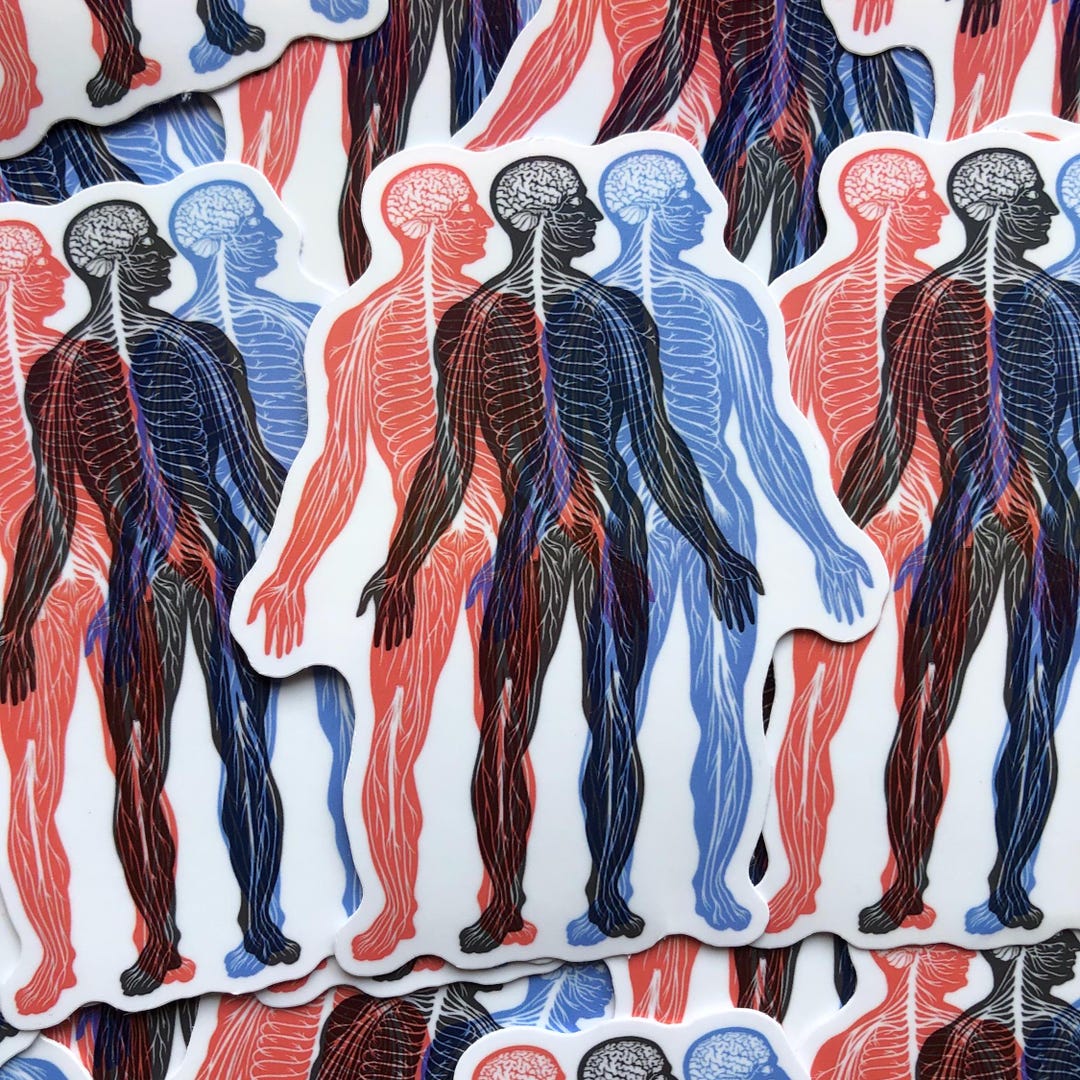 Nervous System Sticker, Red / Blue Circulatory Variant - Etsy