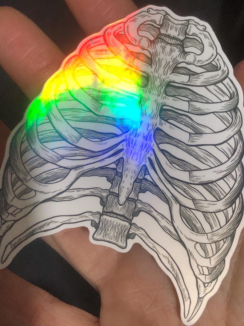 Rib Cage Holographic Sticker - Etsy