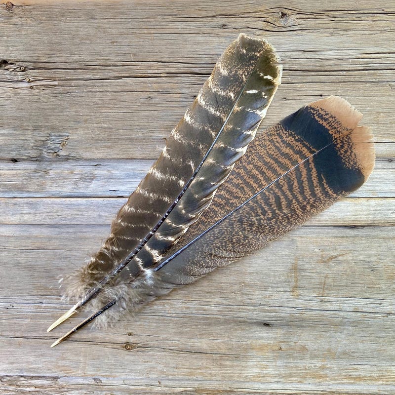 Turkey Wing Feathers - Etsy