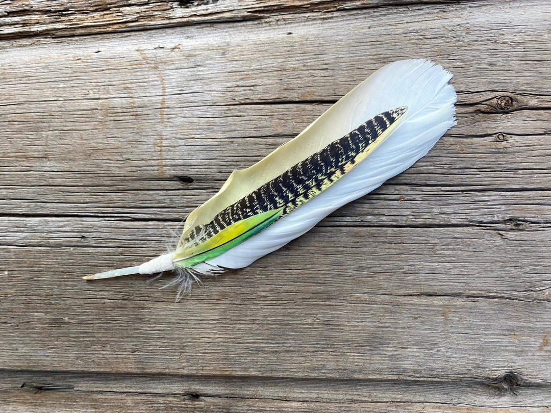 Exotic Cockatoo & Parrot Feather Hat Trim W/deerskin Wrapped Quills ...