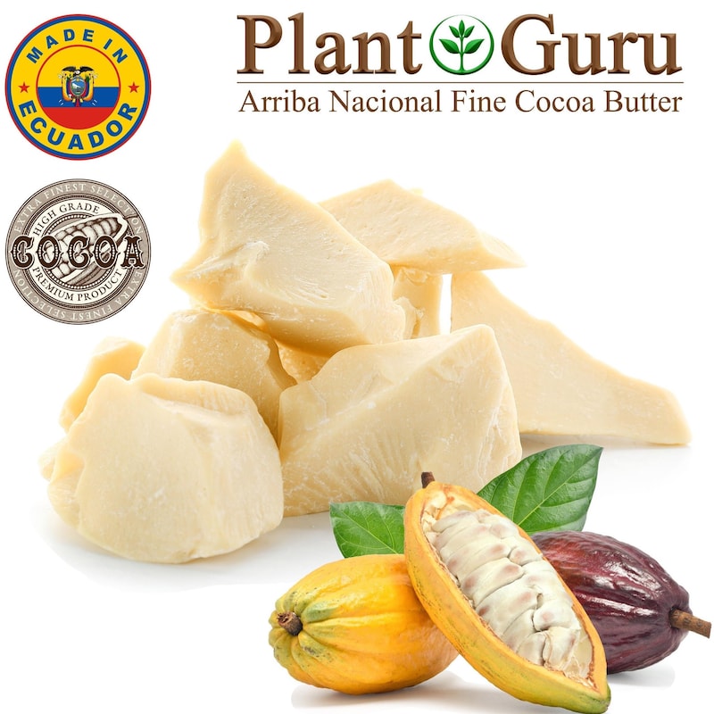 100 Cocoa Bean - Etsy