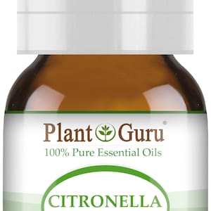 Citronella Essential Oil 100% Pure Natural Therapeutic Grade ...