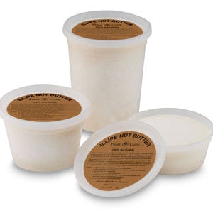 Illipe Nut Butter Natural 100% Pure Raw Cold Pressed Shorea Stenoptera ...