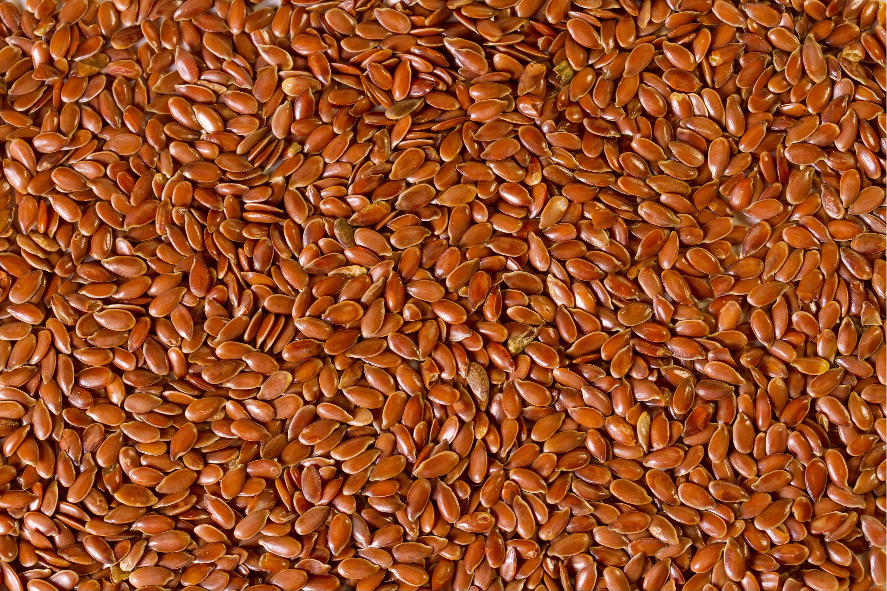 Flax Seeds Whole Brown Grain Flaxseed NON GMO Linseed 1 Oz to 10 Lbs ...
