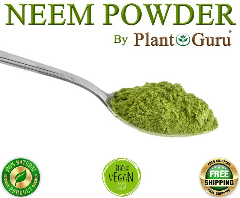 Neem Powder Dried Leaf 100% Pure & Natural Raw Vegan Leaves | Etsy