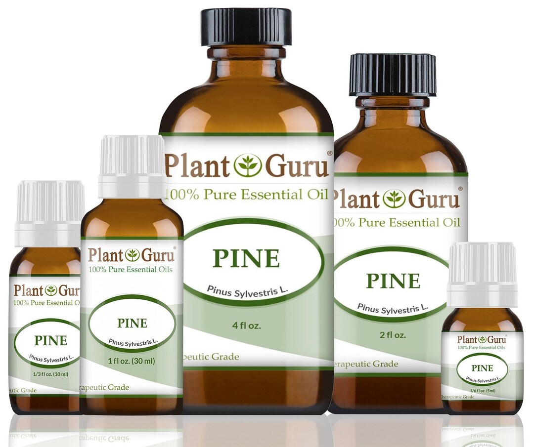 Pine Essential Oil 100% Pure Natural Therapeutic Grade, Pinus ...