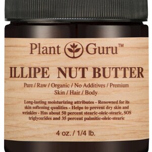 Illipe Nut Body Butter 100% Pure Raw Fresh Natural Cold Pressed. Skin ...