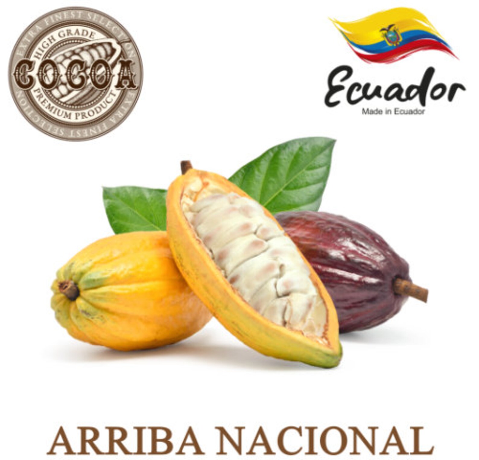 Raw Cacao / Cocoa Powder 100% Raw Chocolate Arriba Nacional Bean 1 Oz ...