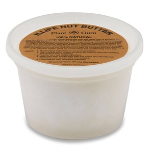 Illipe Nut Butter Natural 100% Pure Raw Cold Pressed Shorea Stenoptera ...