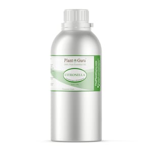 Citronella Essential Oil 100% Pure Natural Therapeutic Grade ...