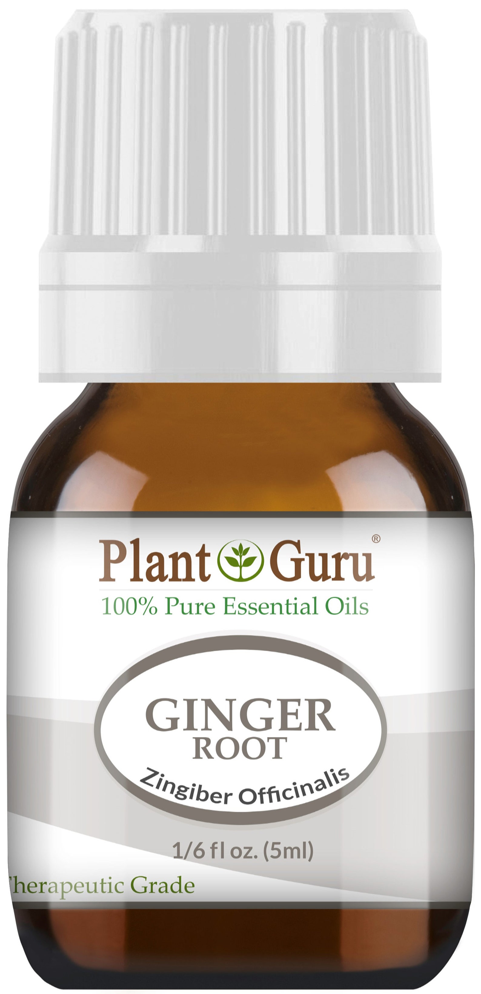Ginger Essential Oil fresh 100% Pure Natural Therapeutic - Etsy