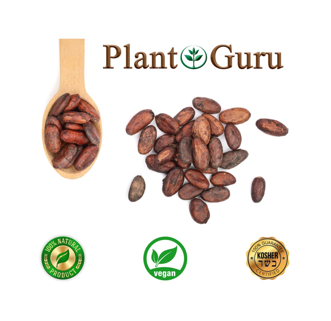 Raw Cacao / Cocoa Beans Chocolate Organic Arriba Nacional Bean 1 Oz to ...