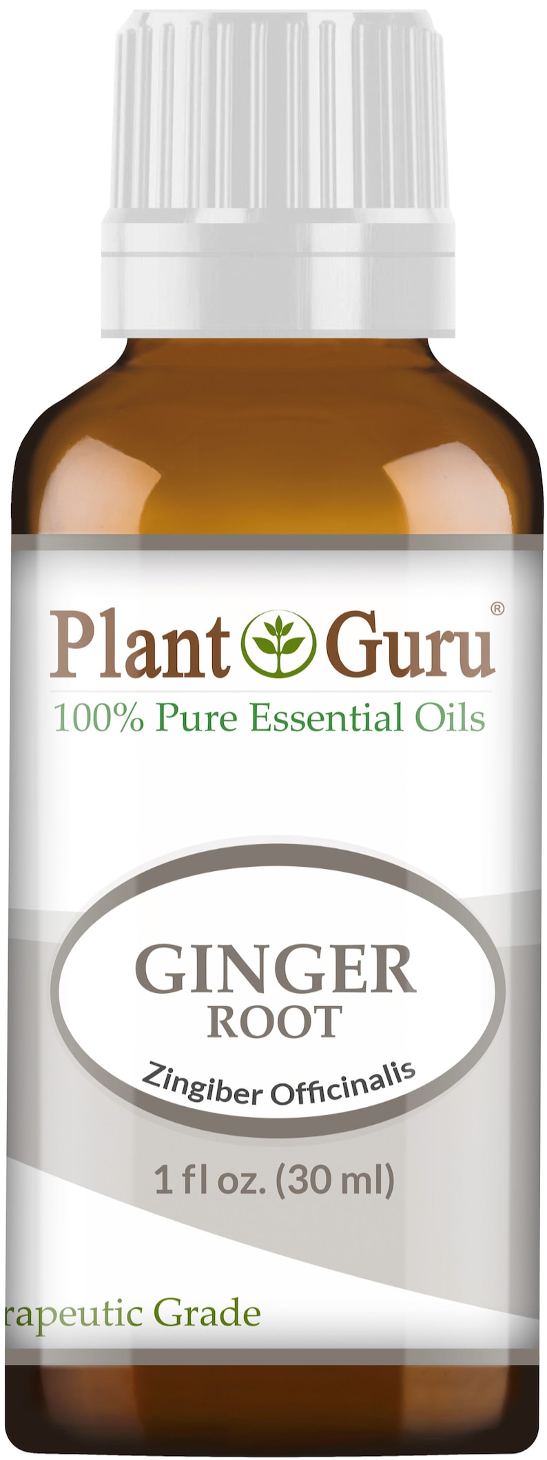 Ginger Essential Oil fresh 100% Pure Natural Therapeutic - Etsy