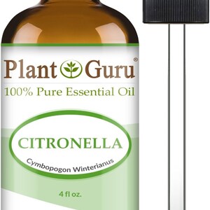 Citronella Essential Oil 100% Pure Natural Therapeutic Grade ...
