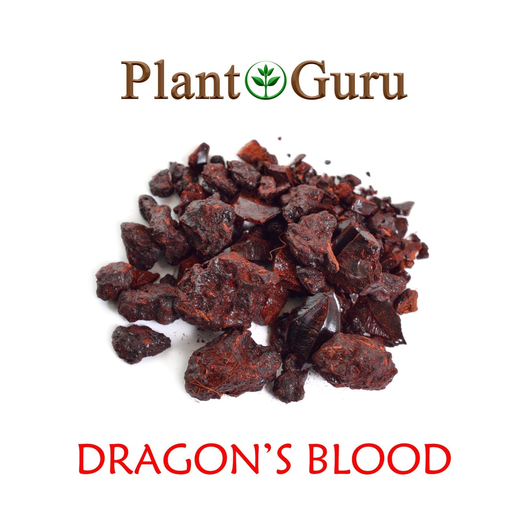 Dragons Blood Resin Granular Incense 100% Pure Natural Daemonorops ...