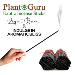 PEPPERMINT Incense Sticks 19" Jumbo Extra Large Bulk Handmade Hand ...